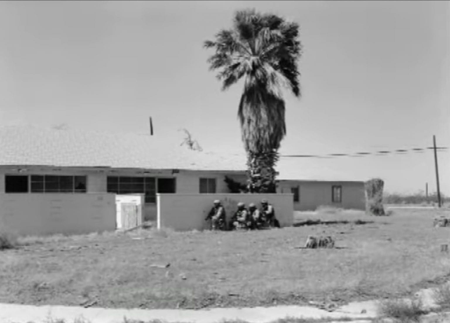 Who Is The Vietnamese-American Artist An-My Lê? | Anita Louise Art