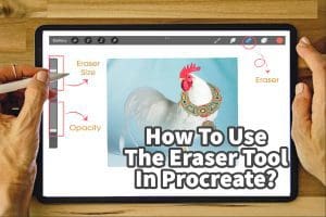 How To Use The Eraser Tool In Procreate? | Anita Louise Art