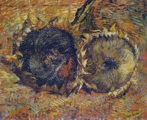 About Vincent Van Gogh’s Sunflower Paintings - In His Own Words | Anita ...