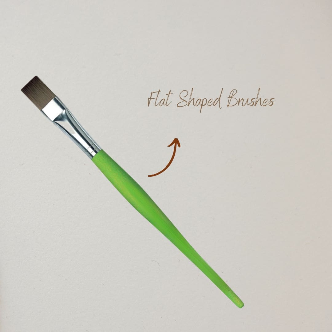 What Are The Different Parts And Shapes Of A Paint Brush? | Anita ...