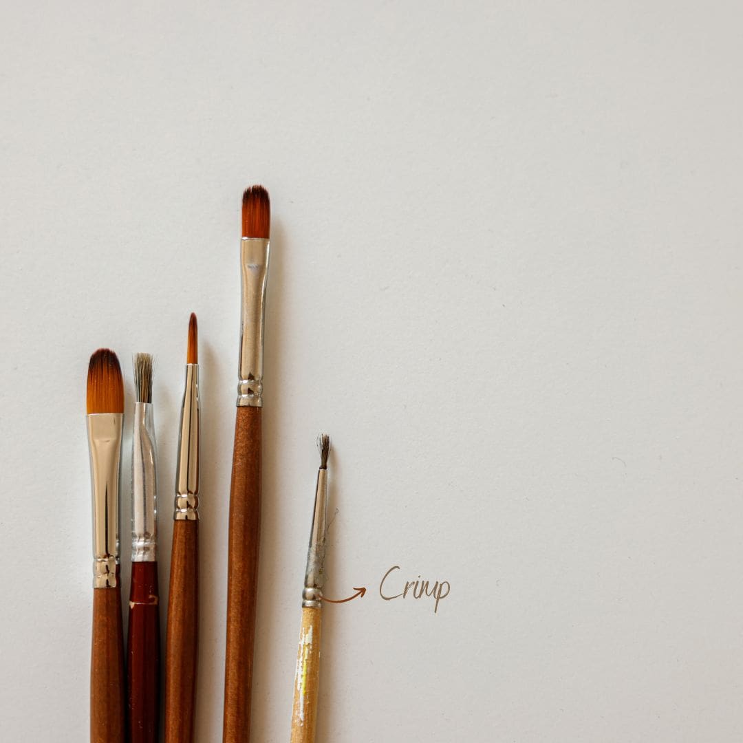 What Are The Different Parts And Shapes Of A Paint Brush? | Anita ...