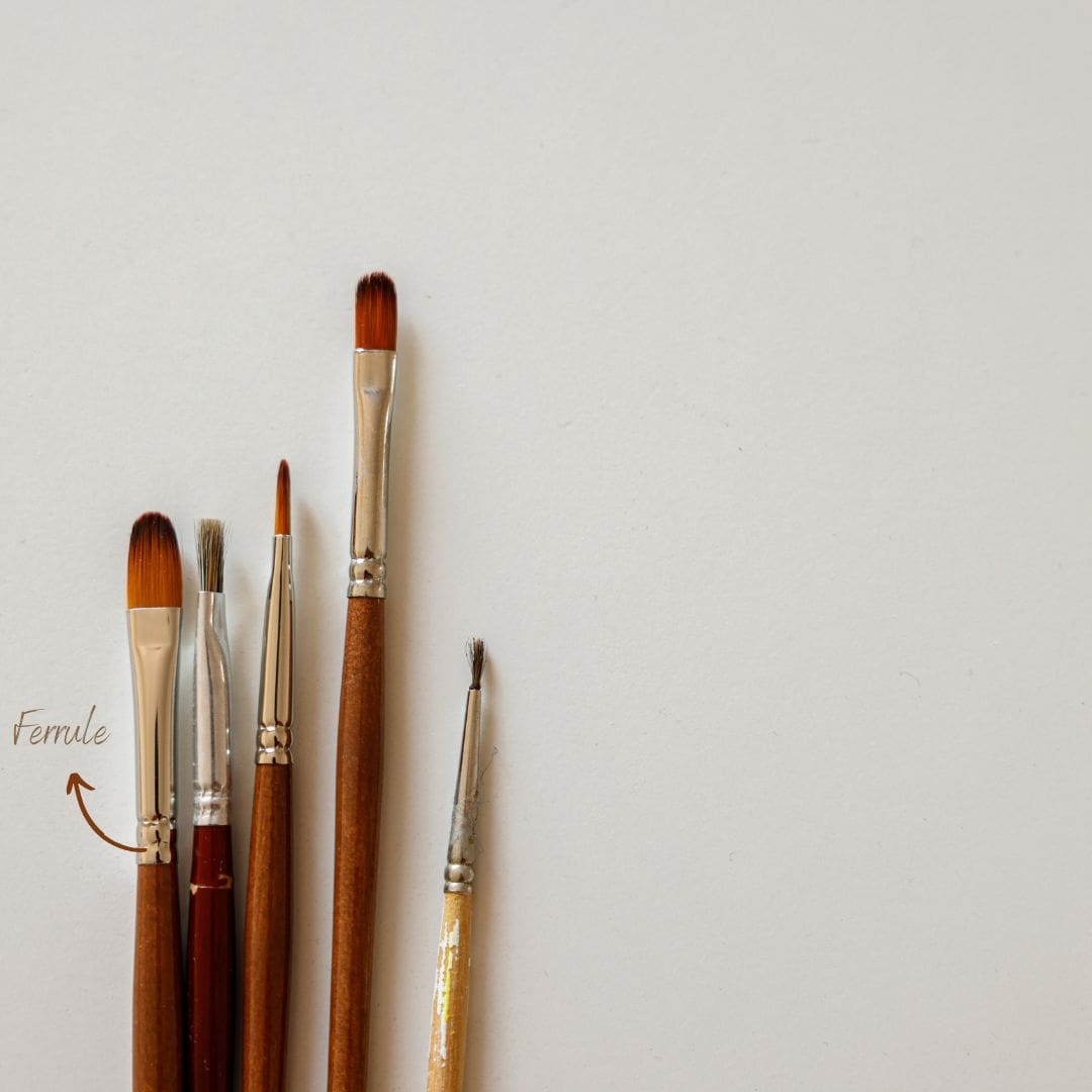 What Are The Different Parts And Shapes Of A Paint Brush? | Anita ...