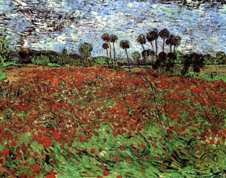 Vincent Van Gogh's Poppies And His Poppy Paintings Explored | Anita ...