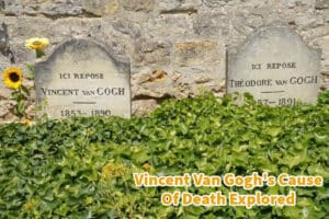 Vincent Van Gogh's Cause Of Death Explored | Anita Louise Art